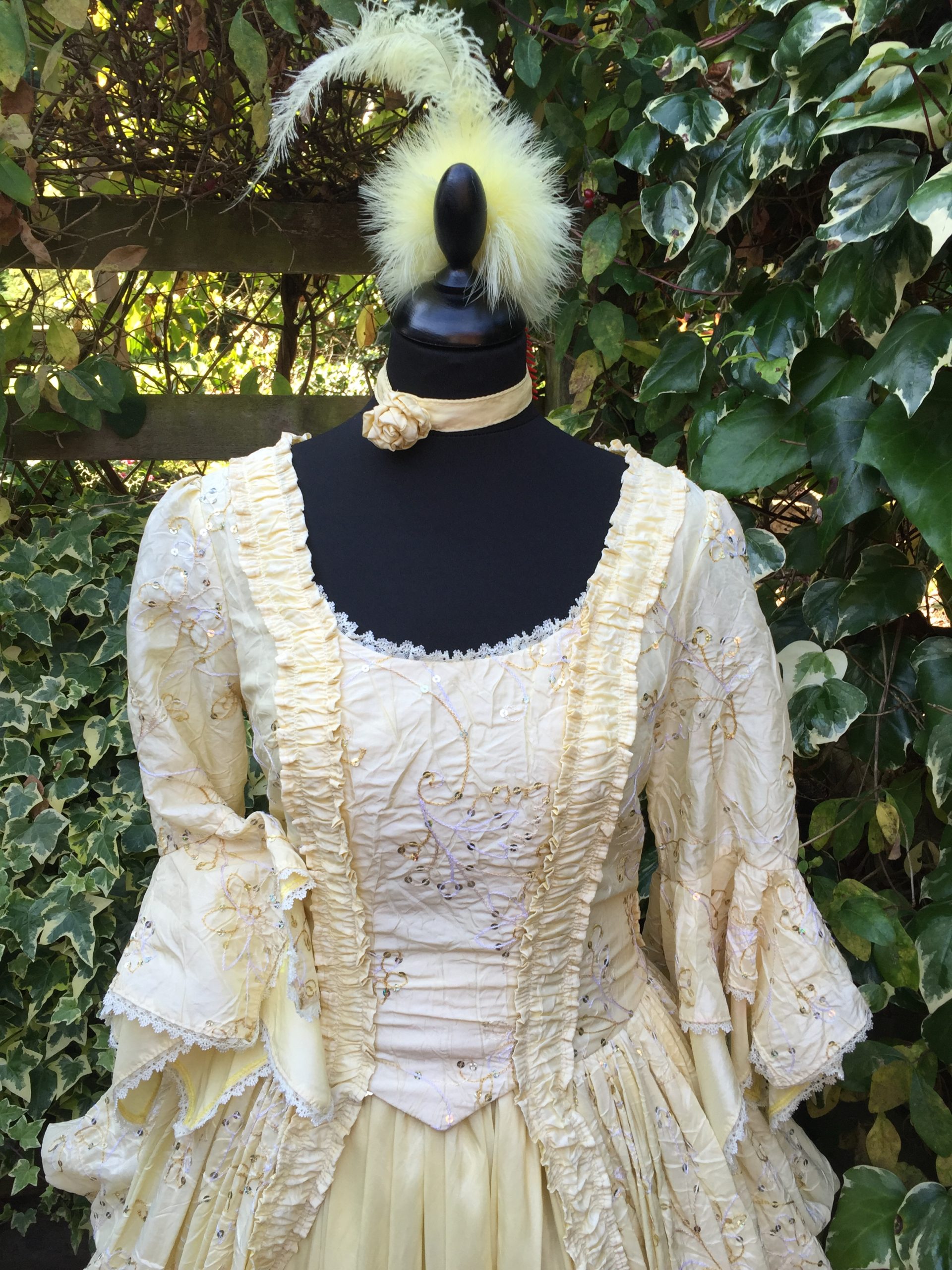 Masquerade Ladies yellow Sequin Princess Costume For Hire. Princess ...