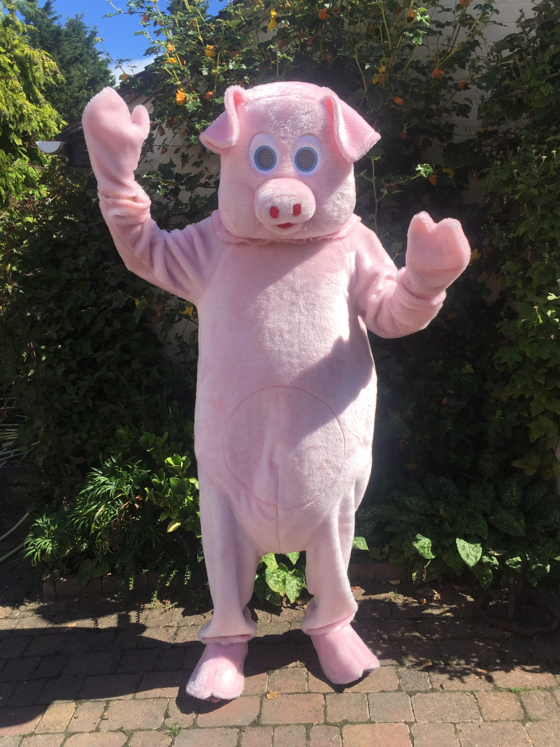 Masquerade Pink Pig Mascot Costume For Hire. Animal Costumes. Mascot ...