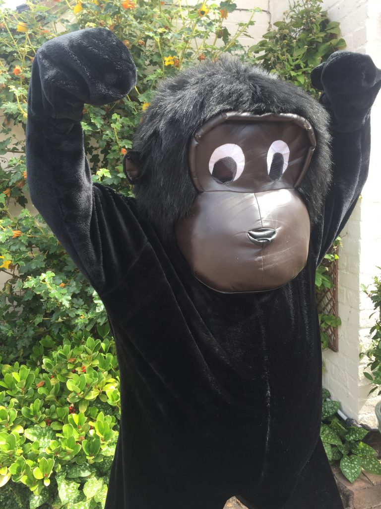 Adult Chimp Mascot Costume For Hire. Animal Mascot Costumes