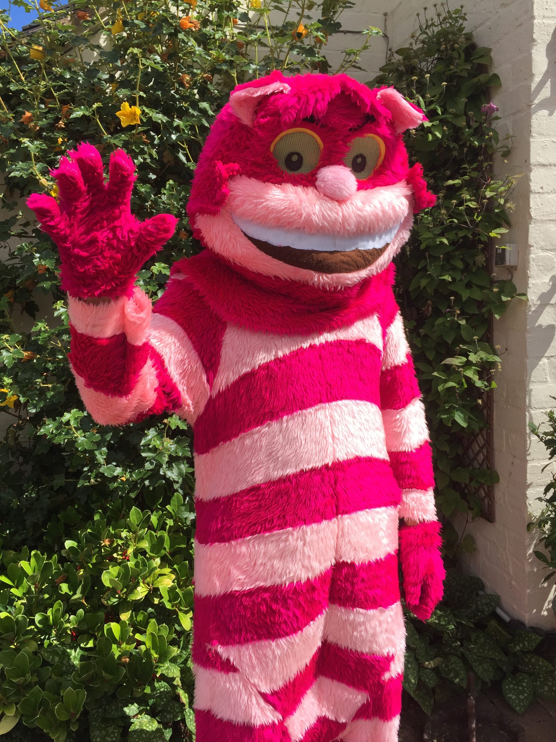 Masquerade IMG_3604 - Masquerade