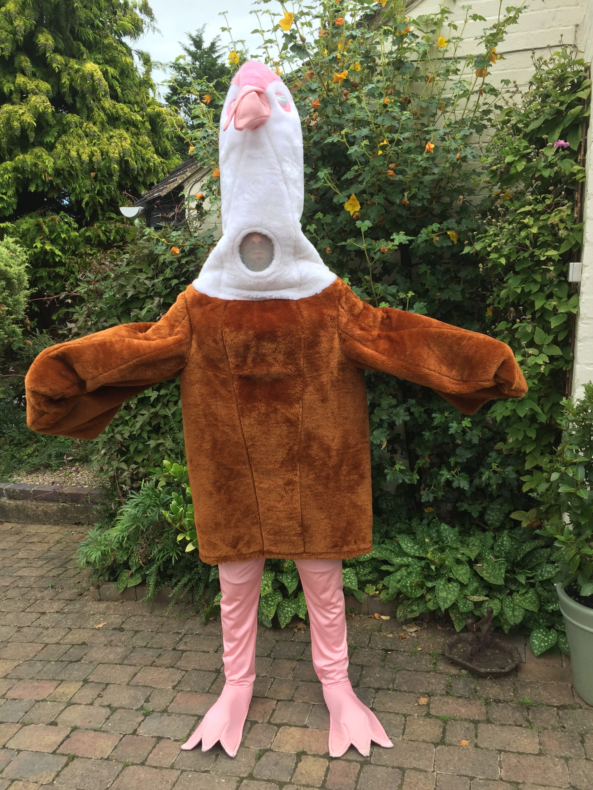 Masquerade IMG_3662 - Masquerade