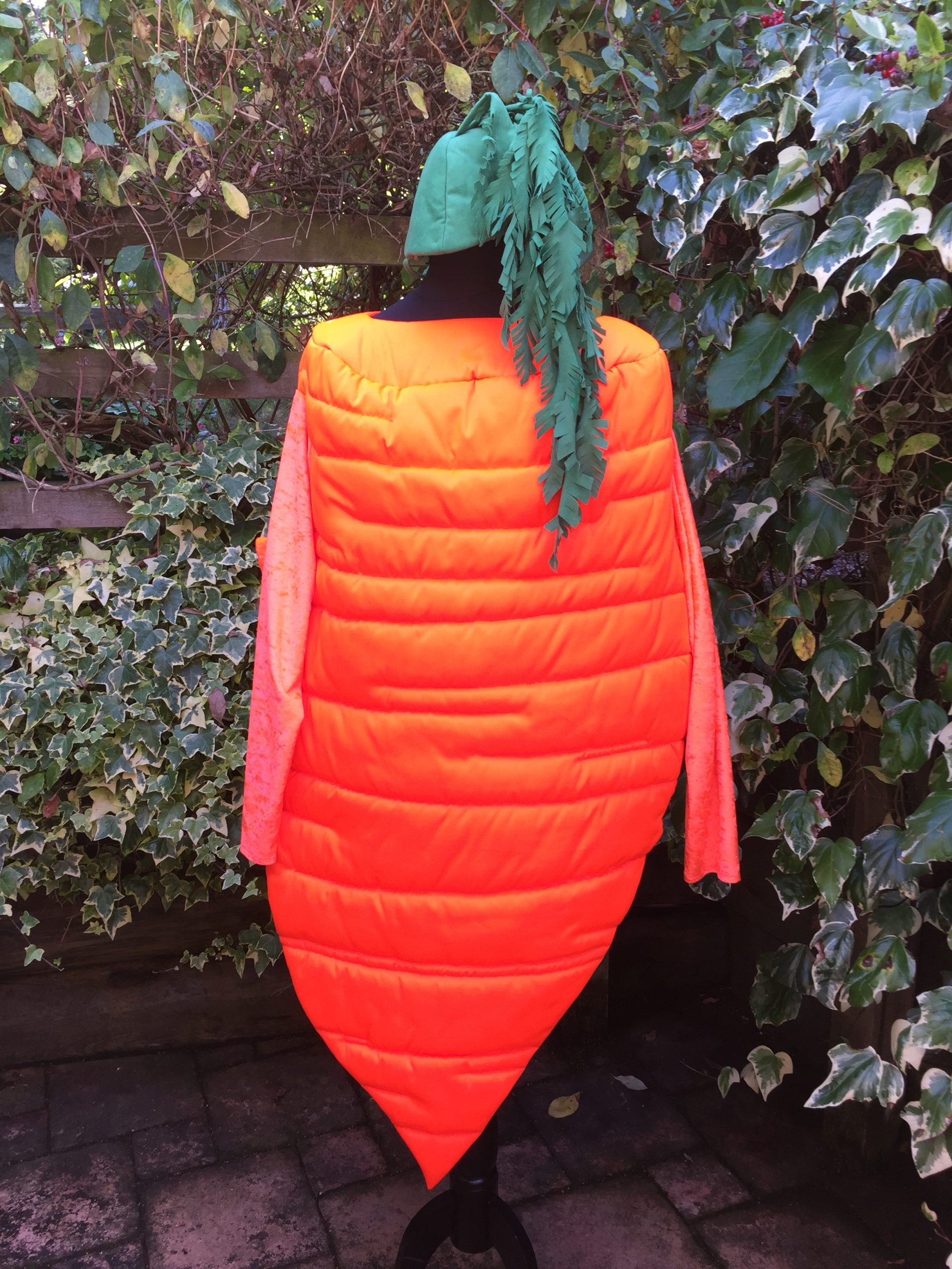 Masquerade Unisex Superior Quality Carrot Costume To Hire. Fruit & Veg ...