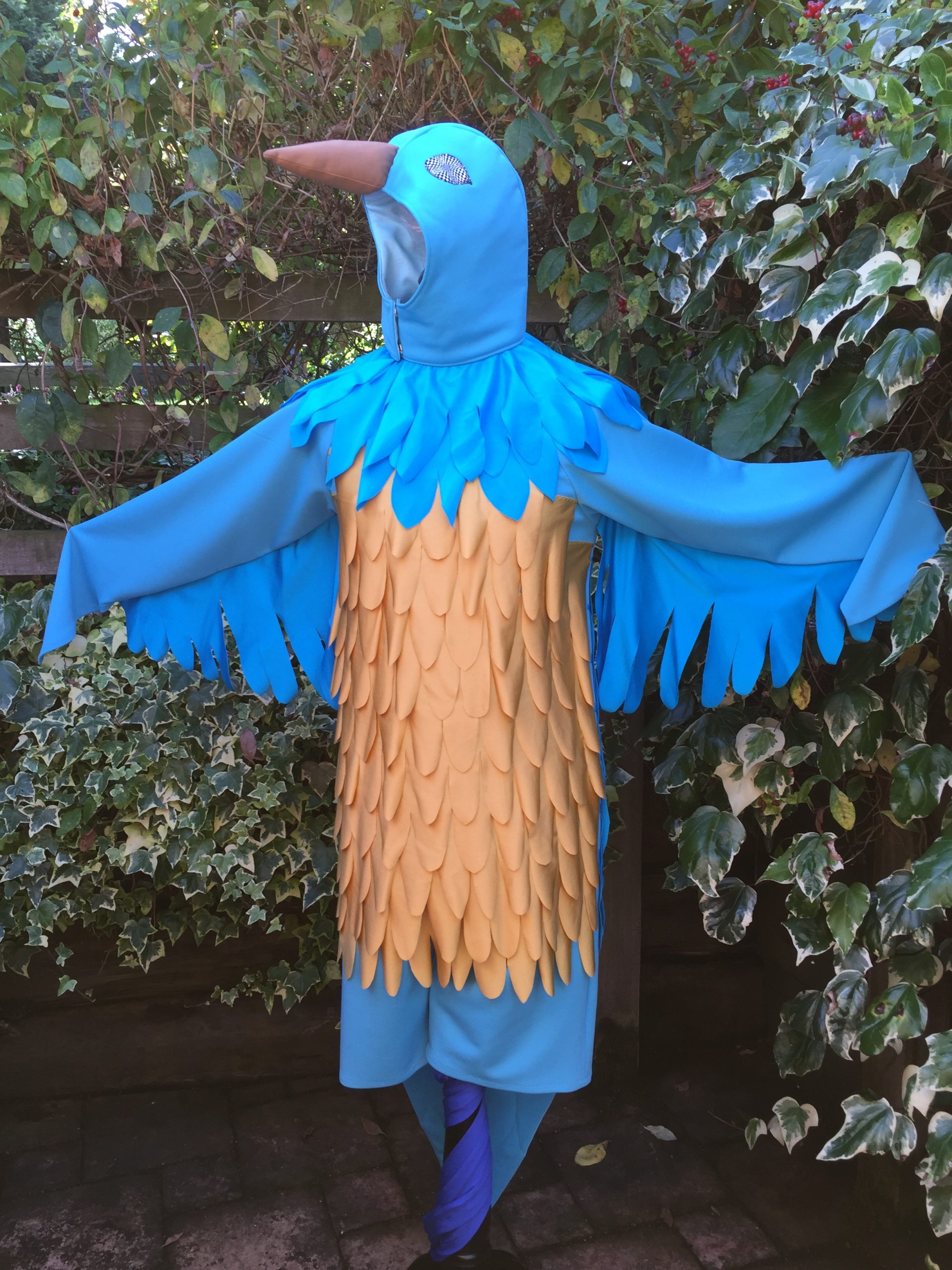 Masquerade Unisex Kingfisher Bird Costume For Hire. Bird & Animal Fancy ...