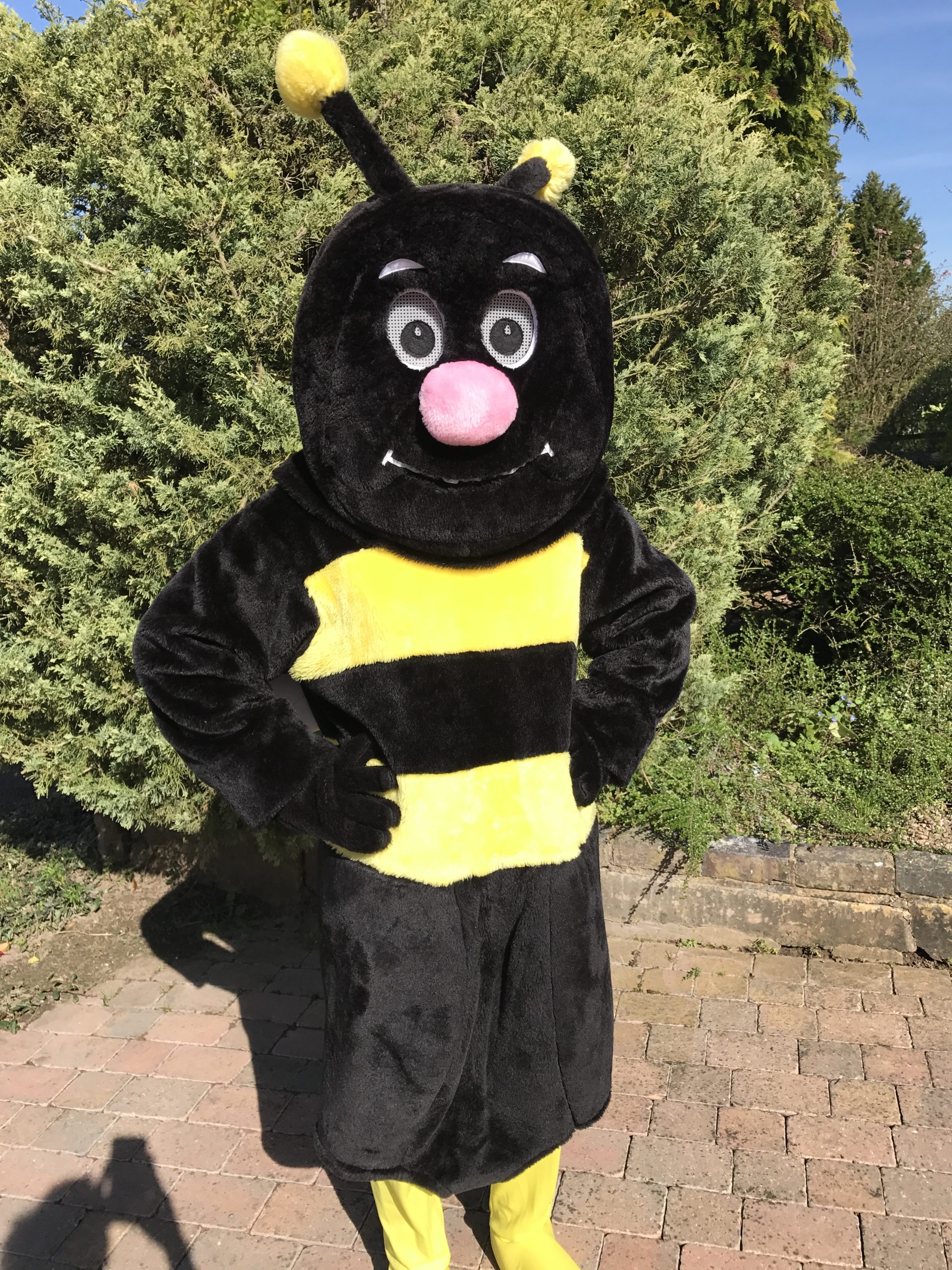 Masquerade Bumble Bee Mascot Costume For Hire. Mascot Fancy Dress Costumes